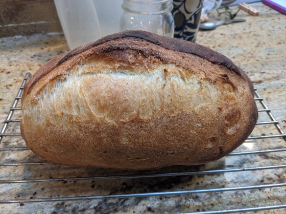 My Afternoon Batard Recipe and Process | The Dawg House!