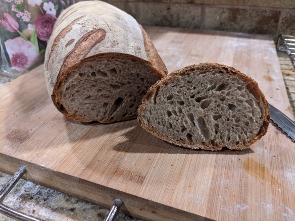 100% Honey-Whole Wheat Bread Recipe | The Dawg House!