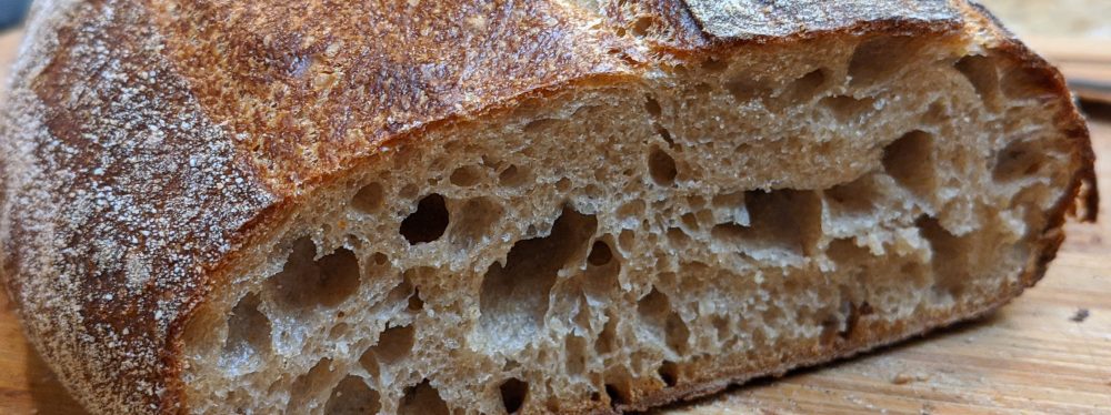 The Dawg House! | The Official Blog of Dawg House Bakery