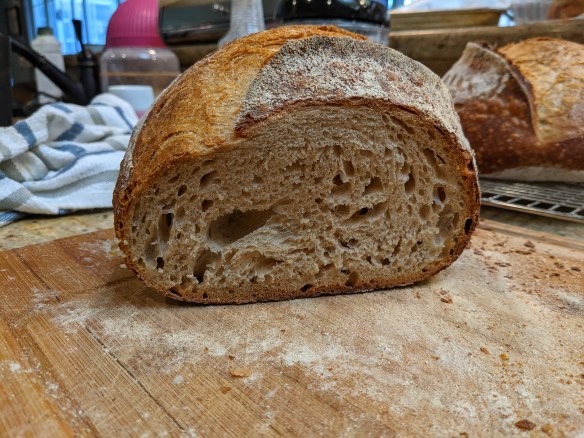 Make Fantastic Bread from a Botanical Starter (aka Yeast Water) | The ...