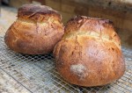 Recipe: Pane di Altamura | The Dawg House!