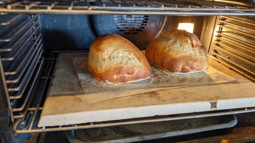 Recipe: Pane di Altamura (Updated 7/1/2022) | The Dawg House!