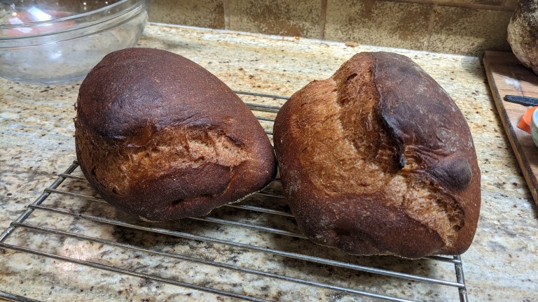 Recipe: Pane di Altamura | The Dawg House!