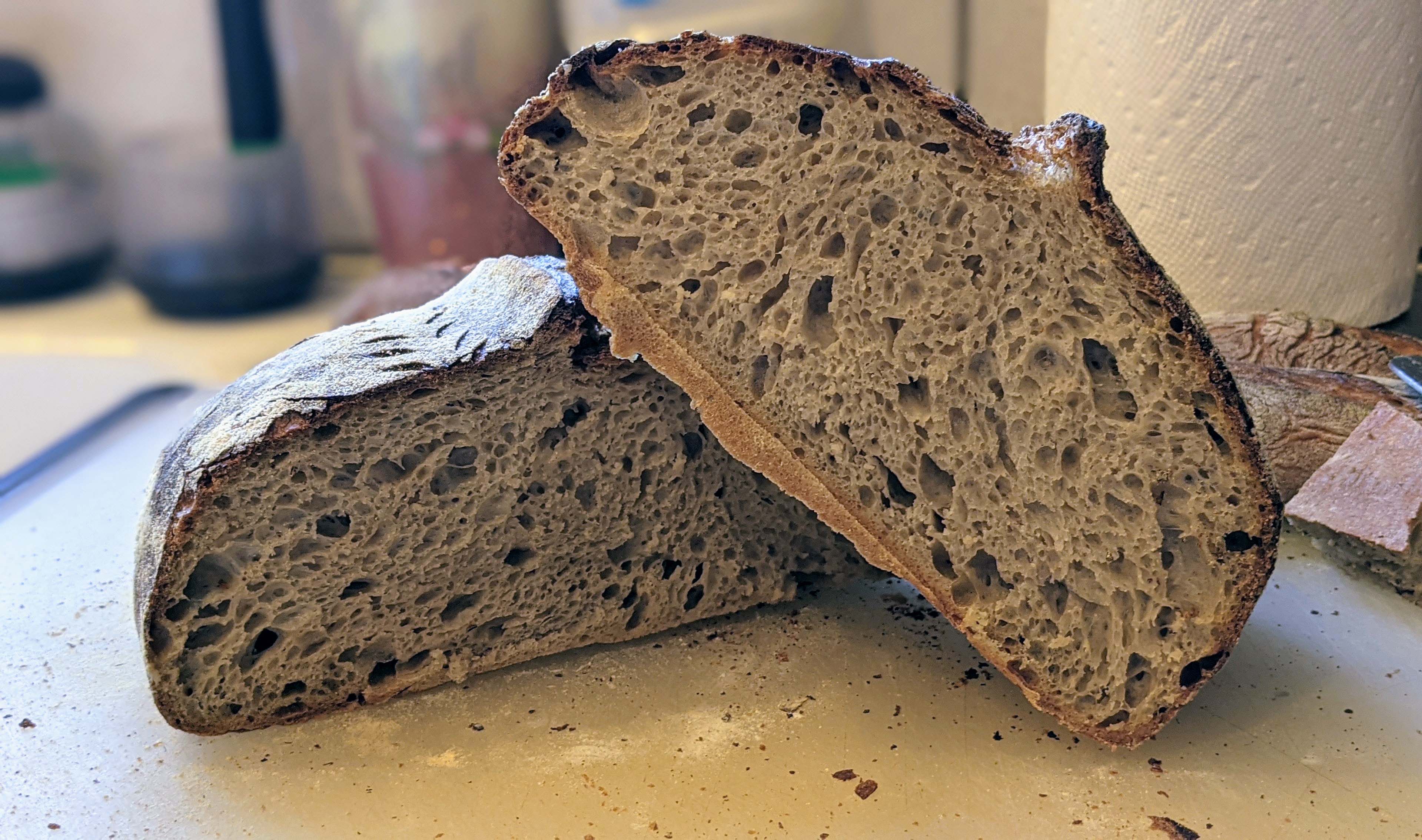 The Focus on Open Crumb IS SO DUMB! | The Dawg House!