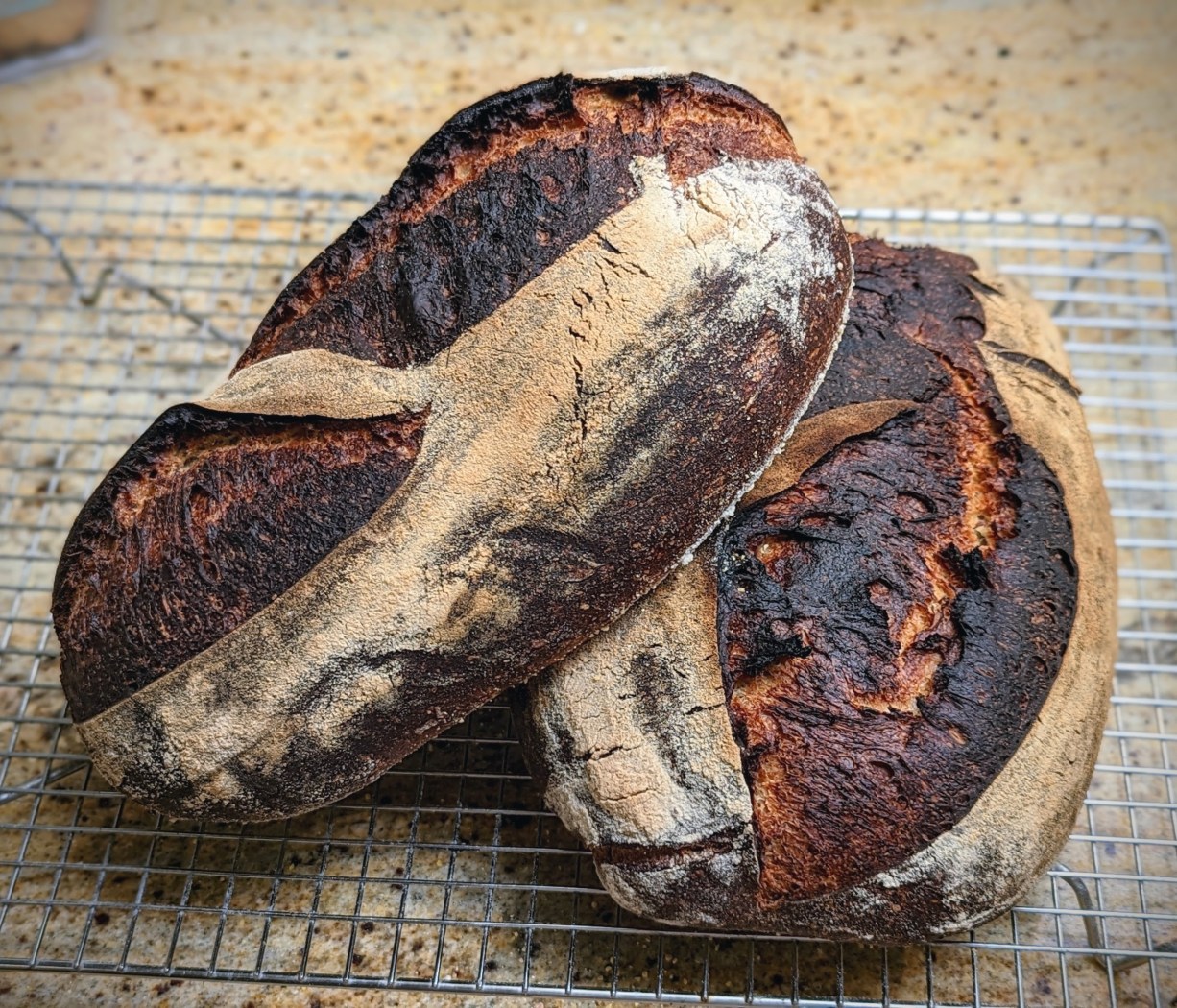 Making Bread More Flavorful | The Dawg House!